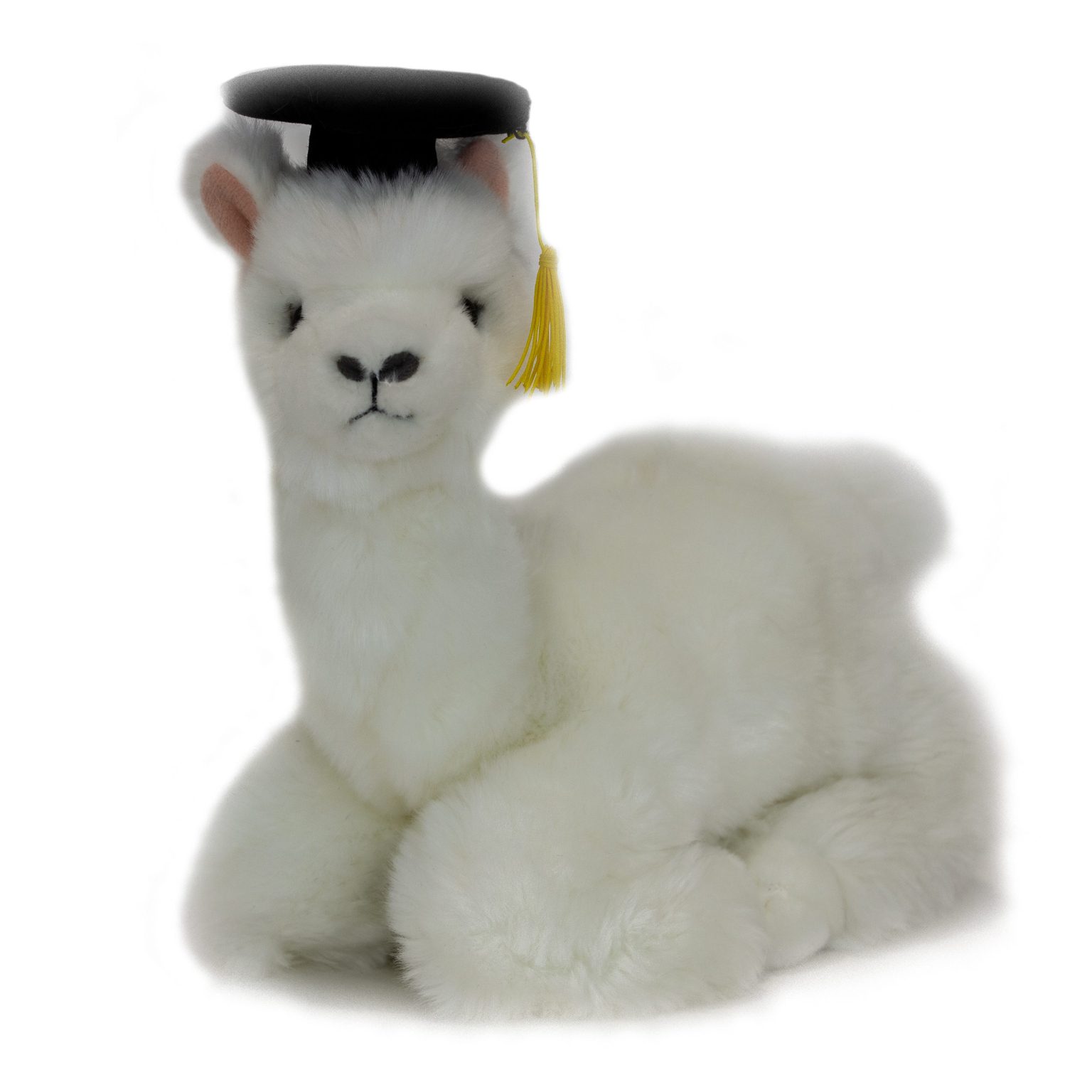 Children - MobiAssist | The Freedom of Movement